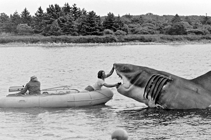 26th Anniversary of JAWS – Memories from Martha’s Vineyard | TIME.com