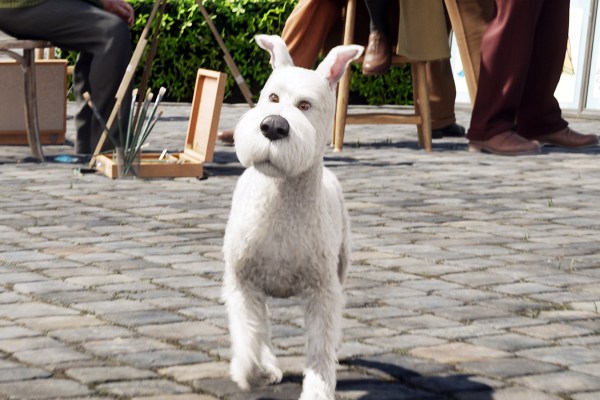 Snowy | Photos: From Rin Tin Tin to Snowy in Tintin—Hollywood's Most Memorable Movie Dogs ...