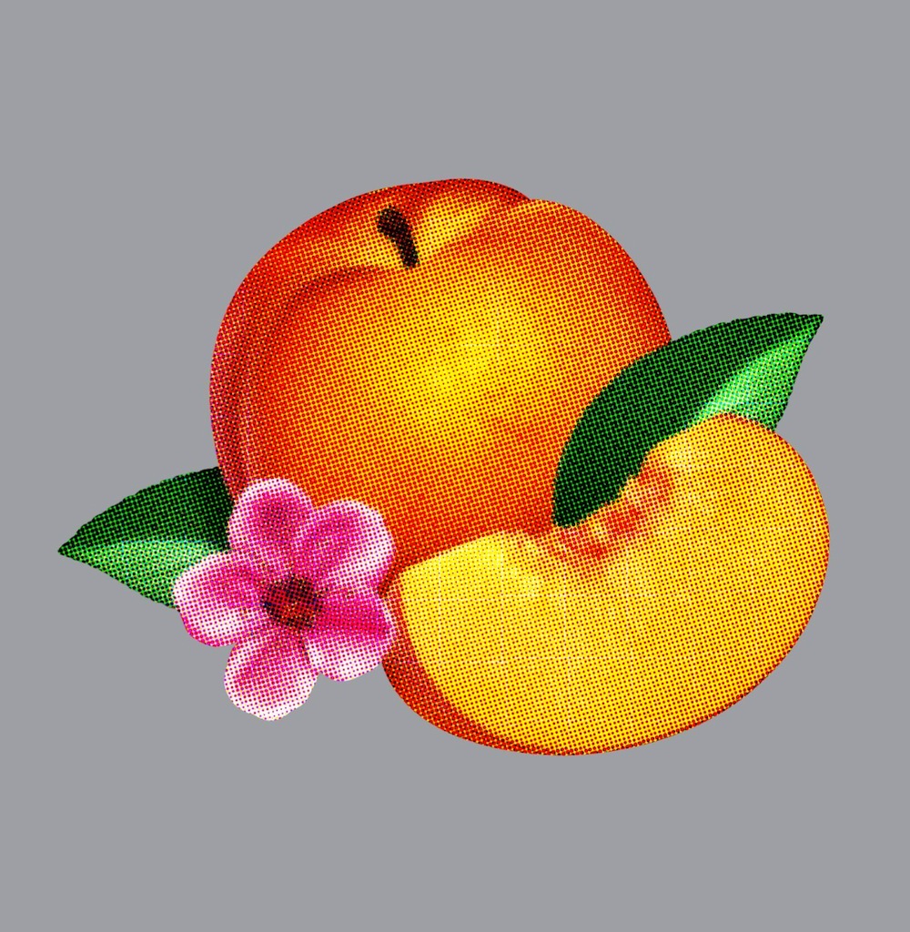 Album Review: Phoenix 'Bankrupt!' | TIME.com