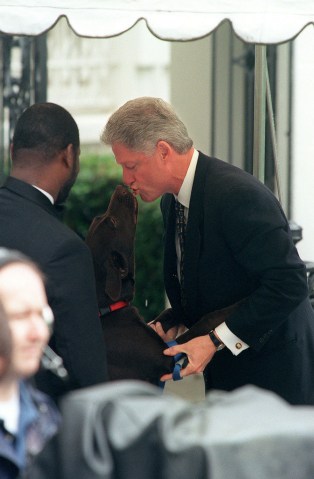 Celebrities Kissing Dogs | TIME.com