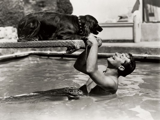 Sit and Stay: Iconic Images of Hollywood Stars and their Dogs | TIME.com