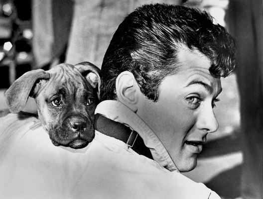 Sit and Stay: Iconic Images of Hollywood Stars and their Dogs | TIME.com