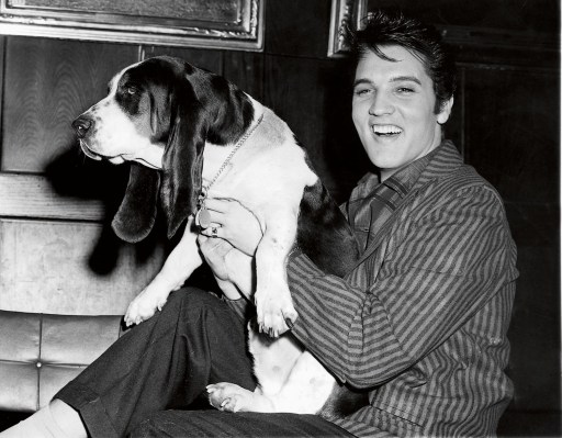 Sit and Stay: Iconic Images of Hollywood Stars and their Dogs | TIME.com